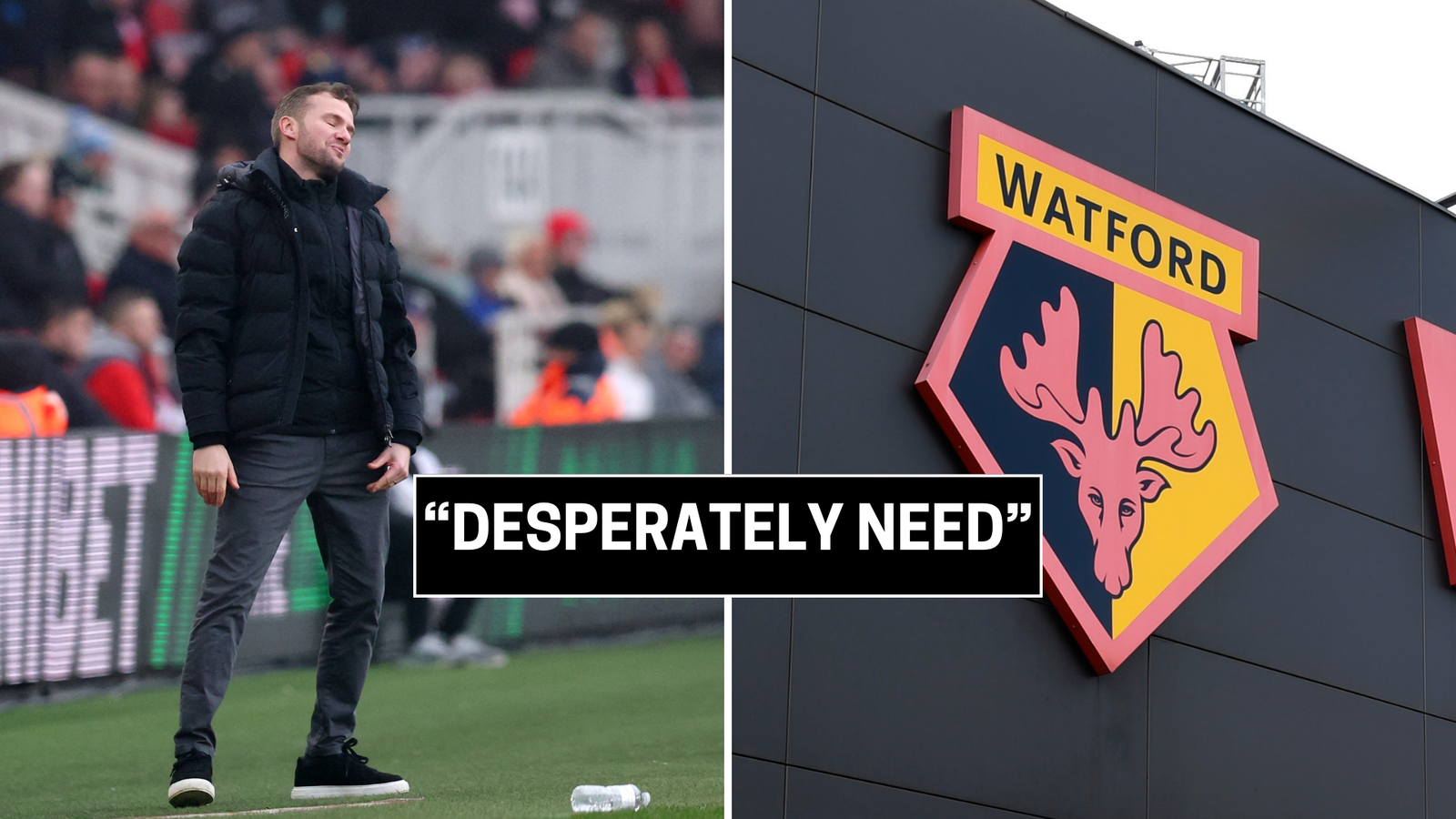 Gino Pozzo urged to seal striker deal for Watford and avoid rash Tom ...