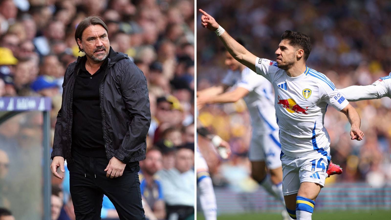 How much money Spurs want for Manor Solomon revealed - Leeds United ...