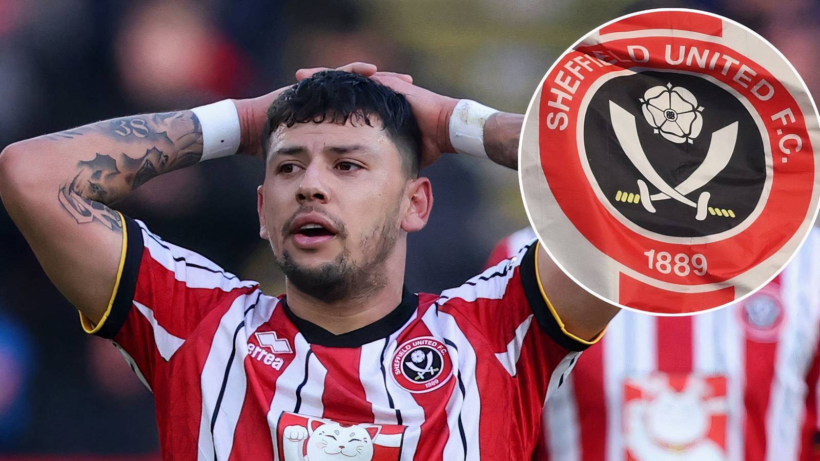 Data predicts price-tag of Sheffield United star Gus Hamer - It's less ...