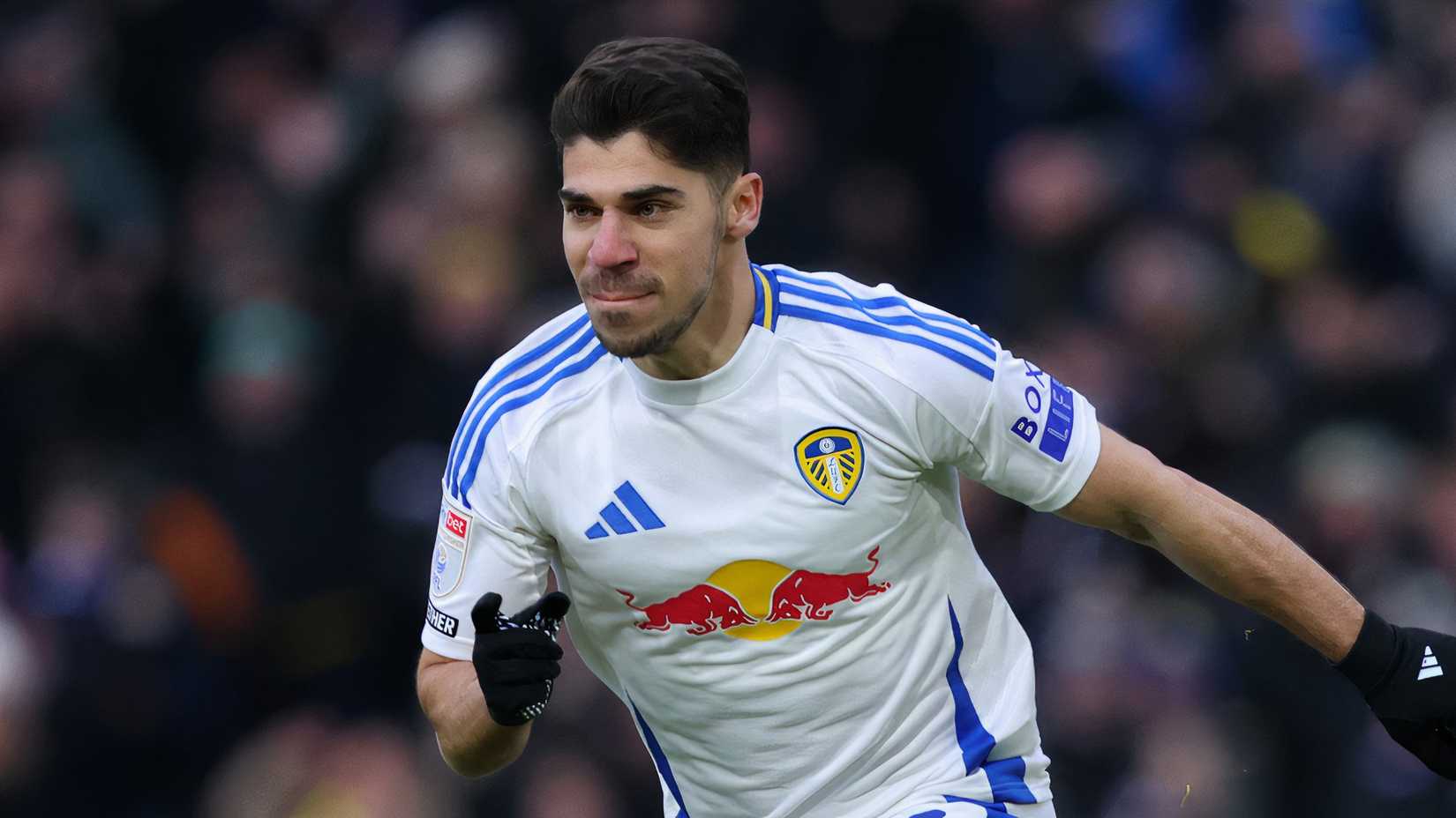 Leicester City and Sheffield United face Spurs transfer miss as Crystal ...