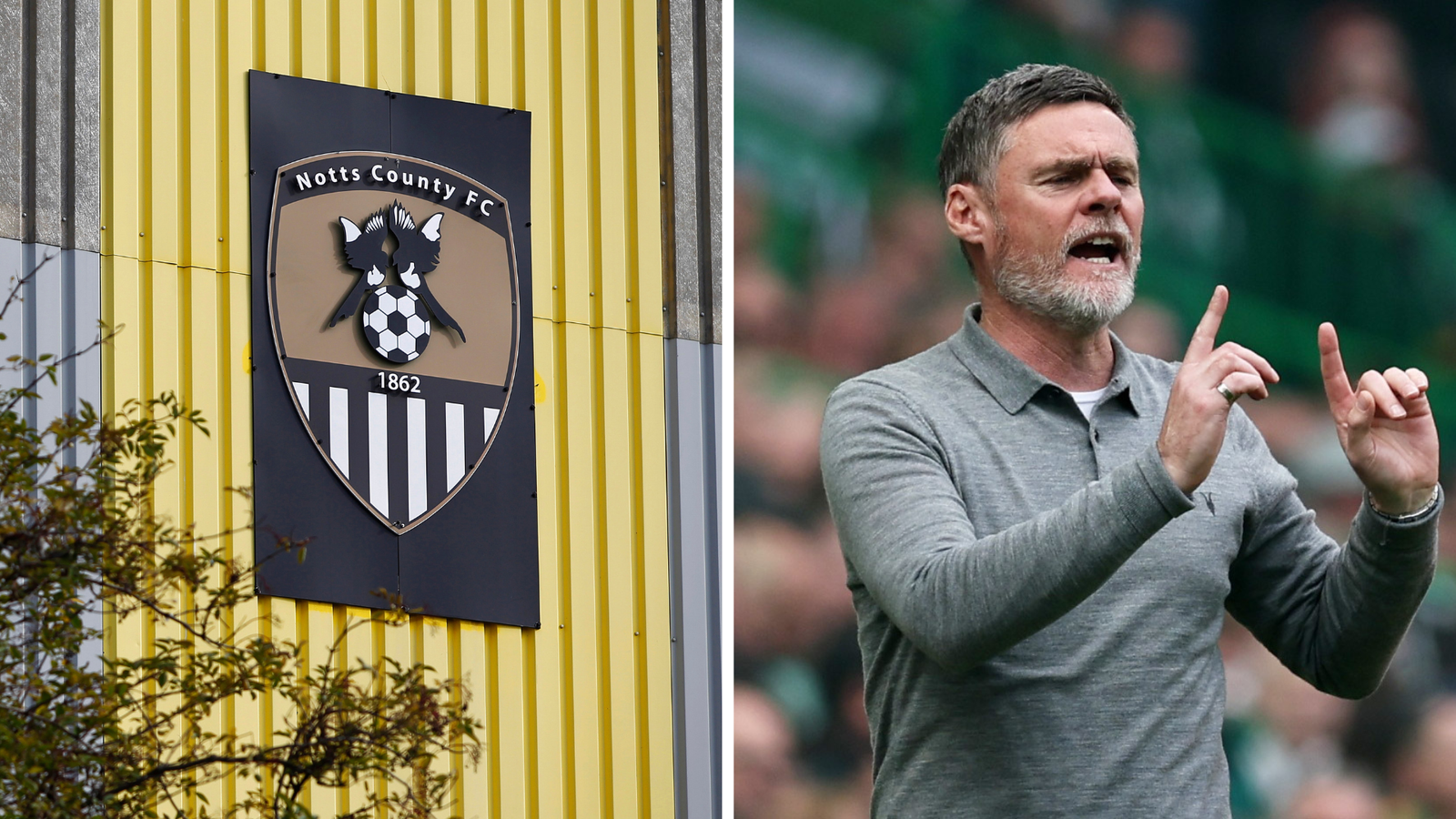 Notts County will smell blood after Bradford City's Richie Smallwood loss