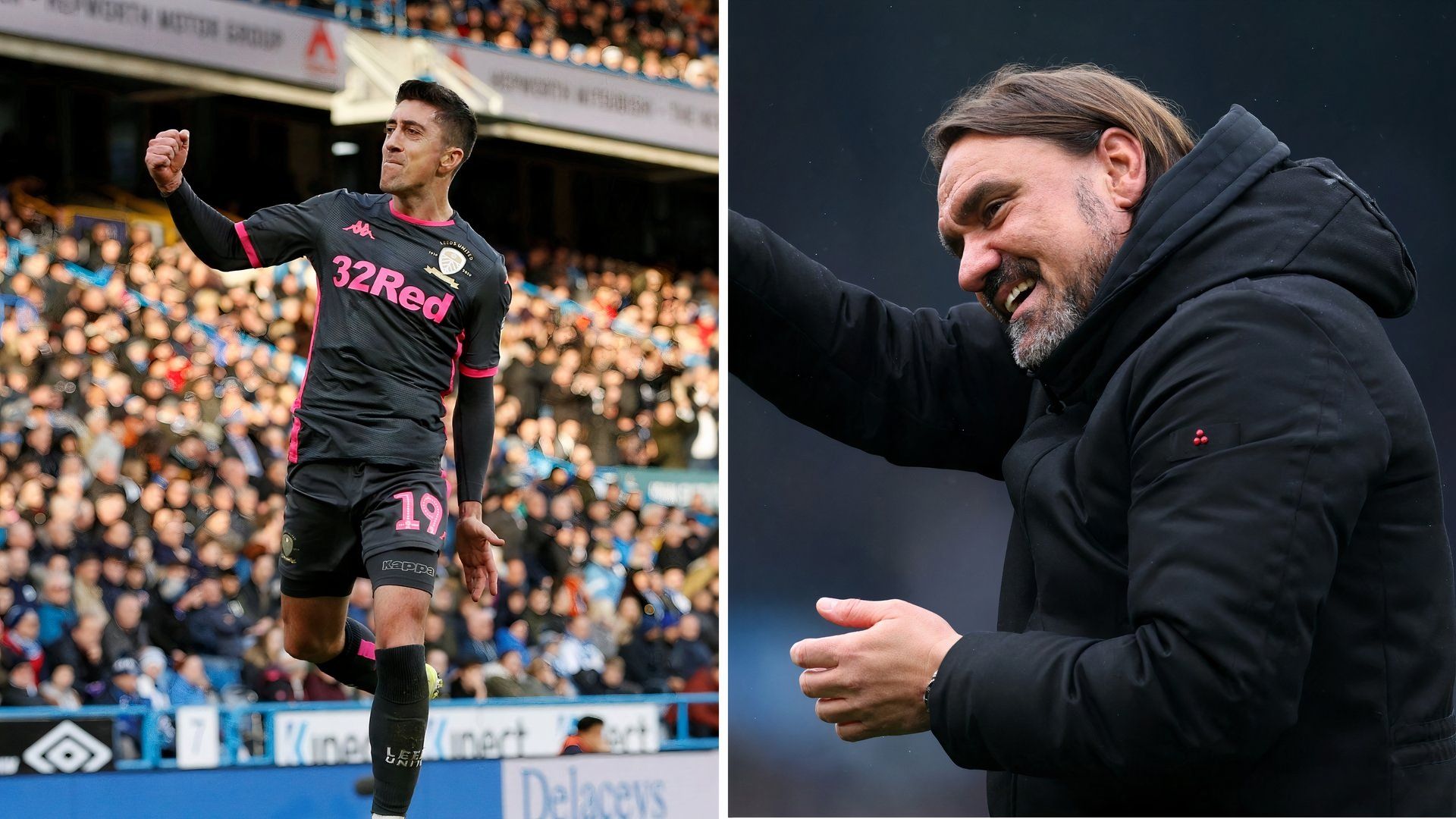 How Pablo Hernandez reacted to Leeds United winning promotion to the Premier League