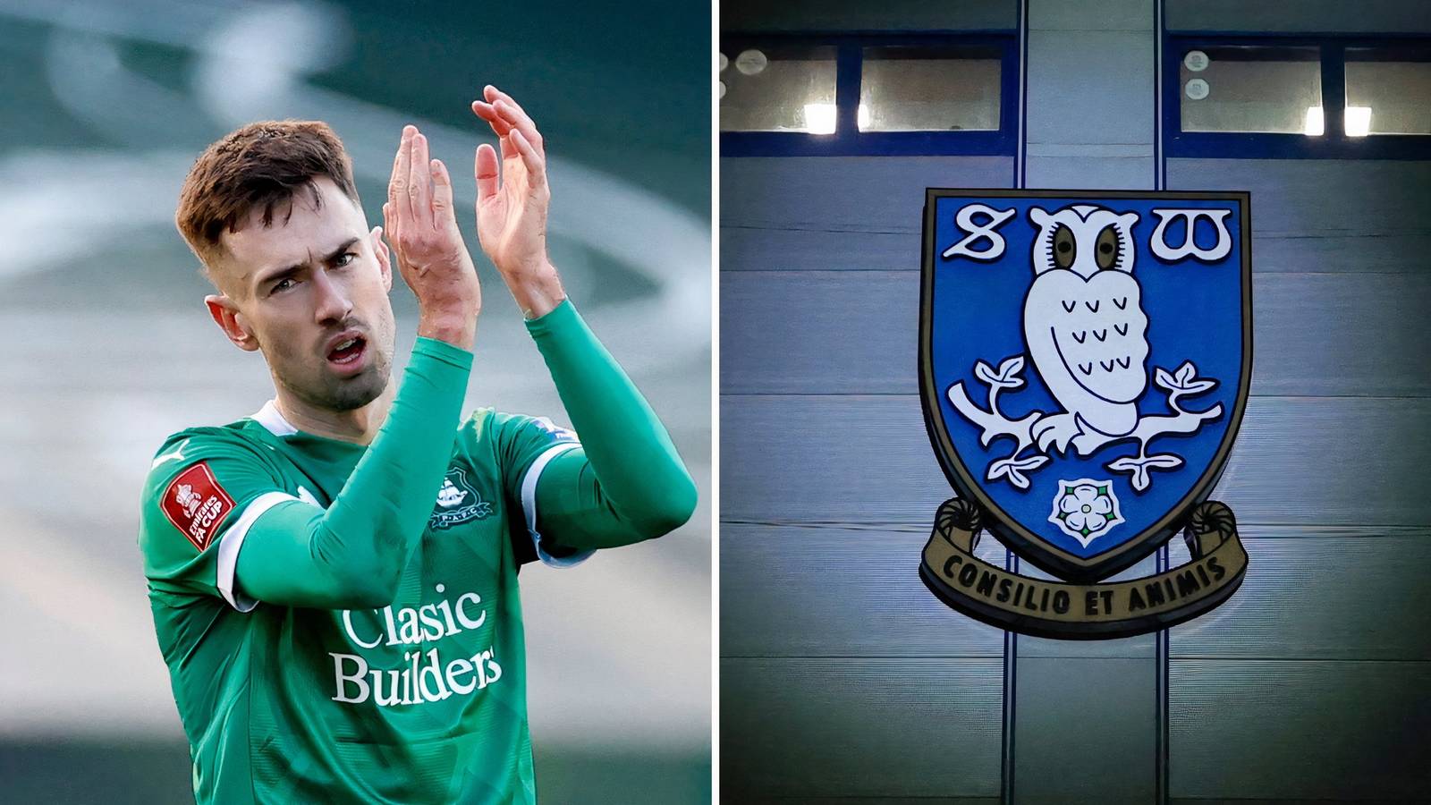 Sheffield Wednesday should eye Plymouth's Ryan Hardie amid Josh Windass ...