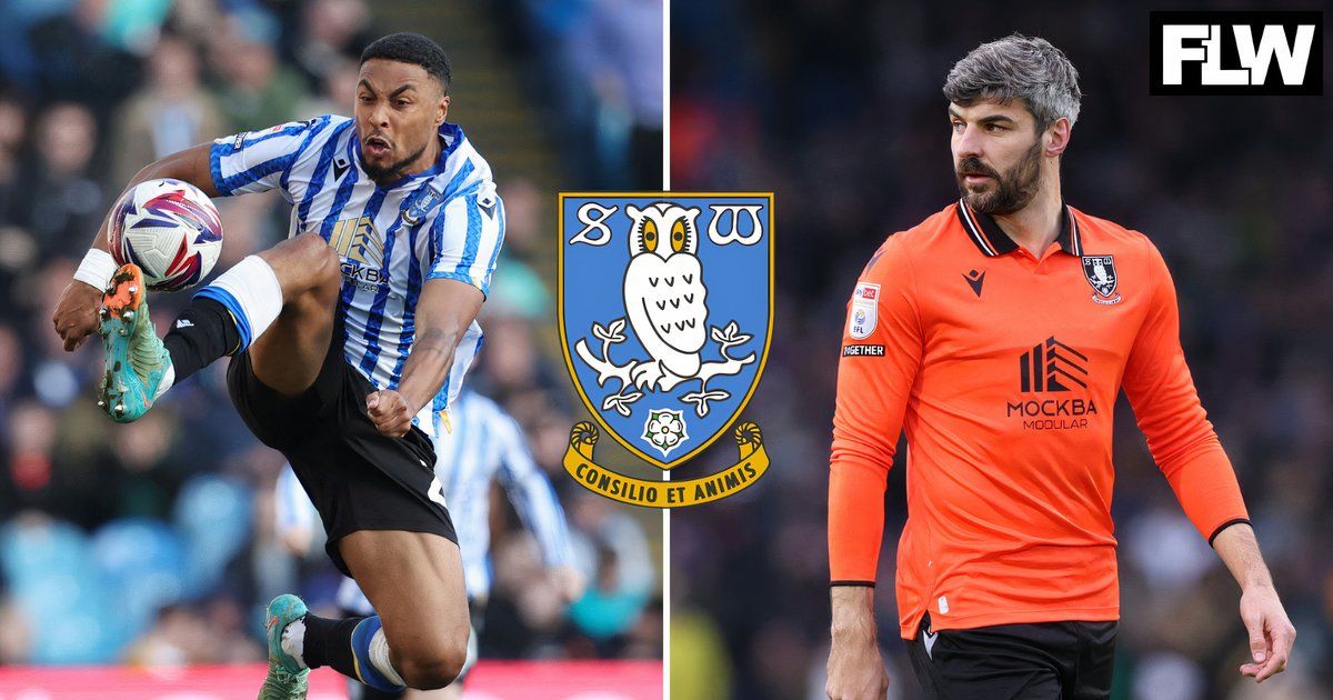 Sheffield Wednesday: Akin Famewo and Callum Paterson contract update ...