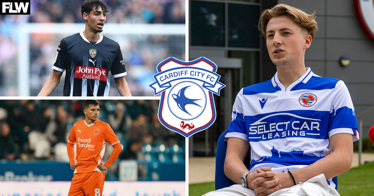 Cardiff City handed clear Alex Robertson exit warning - These 3 ...