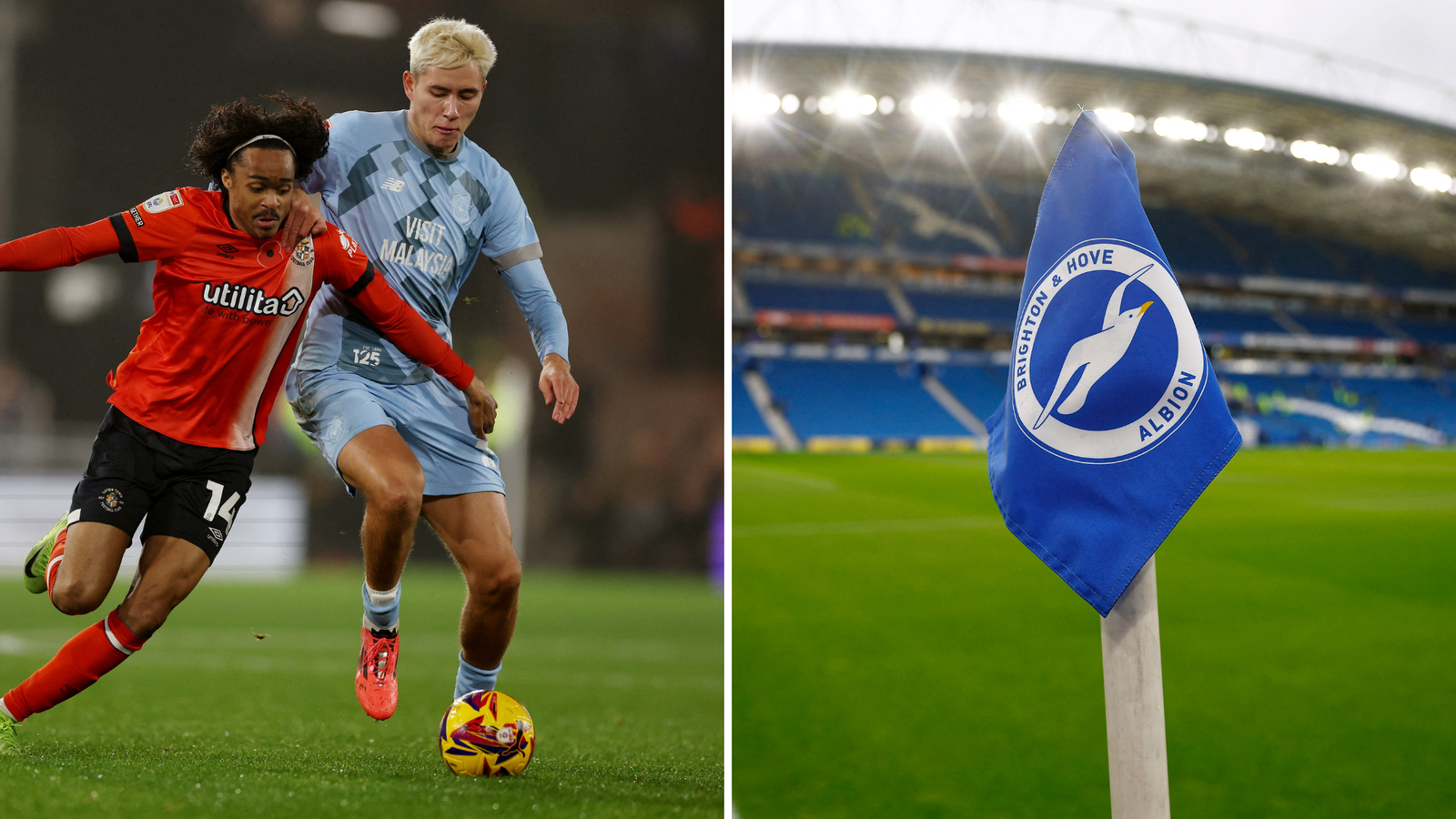Cardiff City should eye Brighton's Kamari Doyle amid Rubin Colwill ...