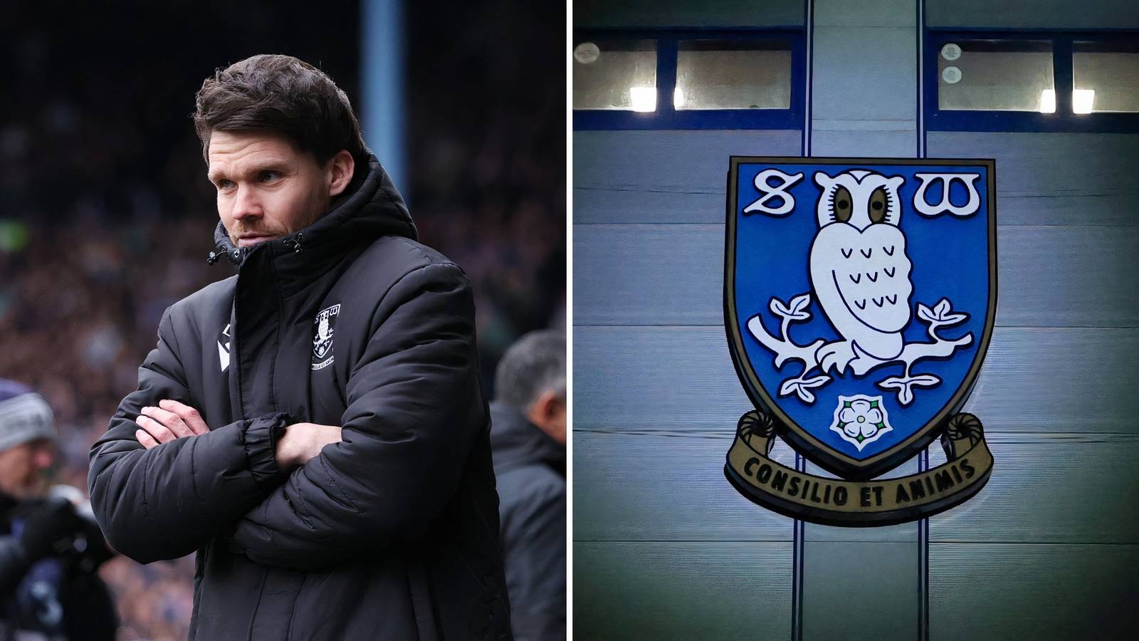 Danny Rohl quits Sheffield Wednesday amid Southampton, Bundesliga links