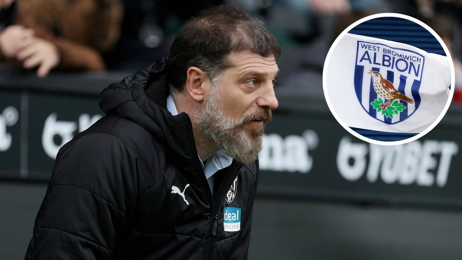 West Brom: Luke Dowling was bang on with "determined" Slaven Bilic claim