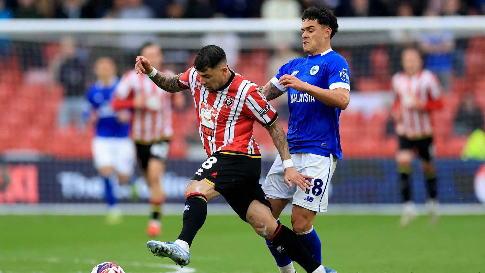 Bradford City may hate Cardiff City, Alex Robertson injury return for ...