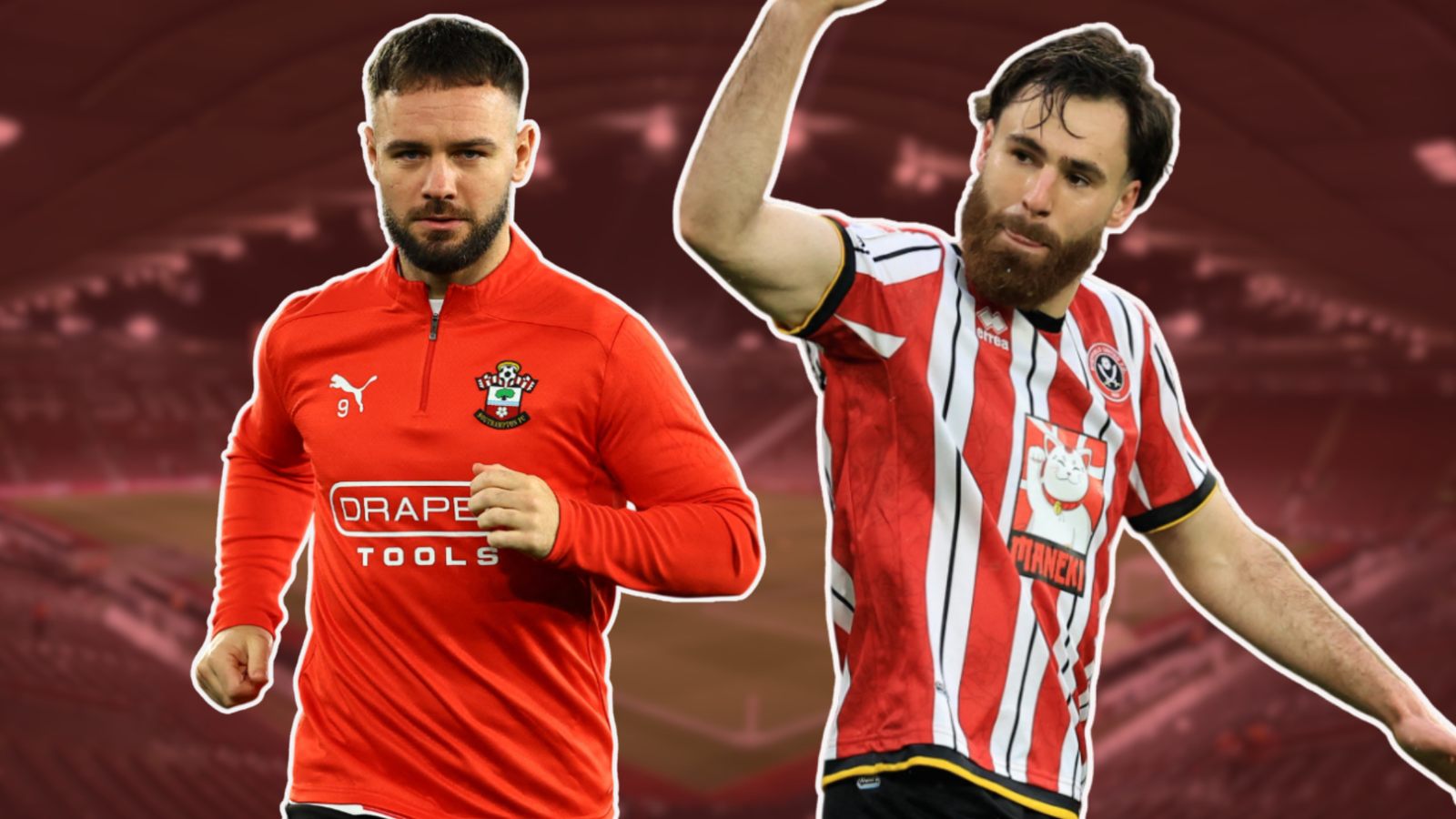 Southampton FC backed over Adam Armstrong stance but urged to ...