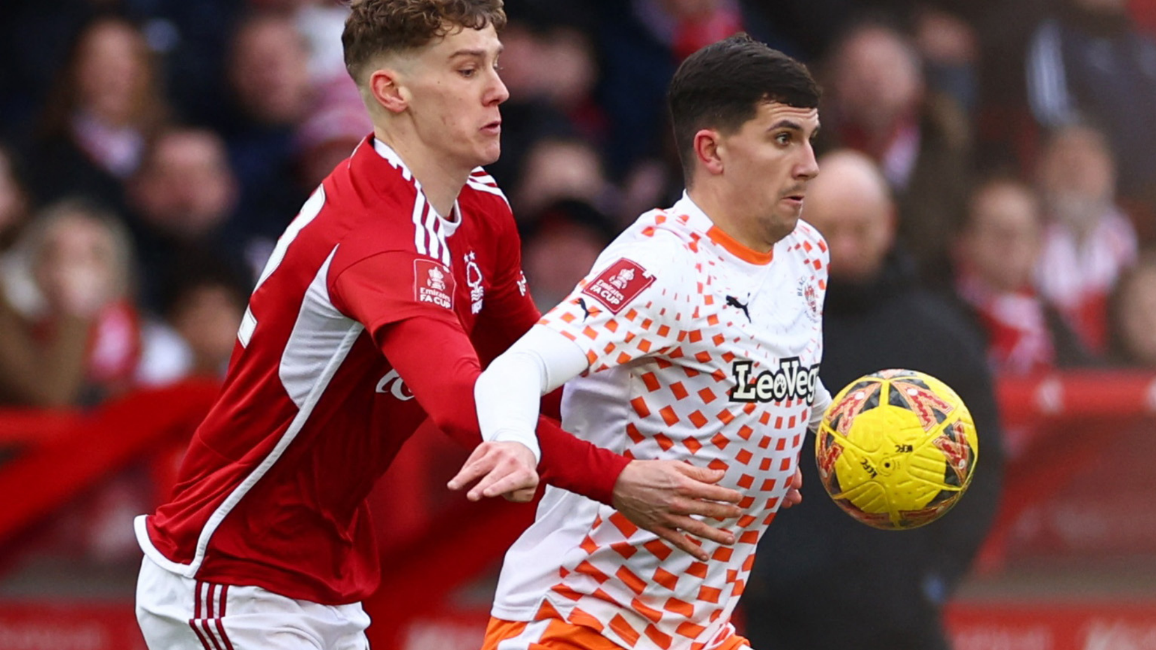 Cardiff City should raid Steve Bruce's Blackpool for Albie Morgan amid ...