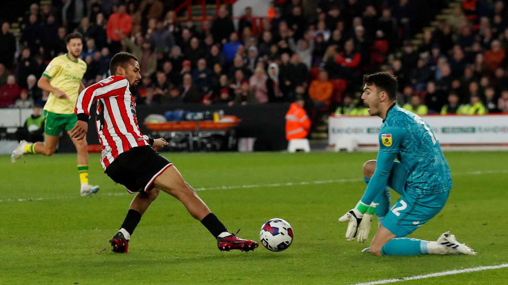 Derby County move for Bristol City star questioned - 'It would make no ...