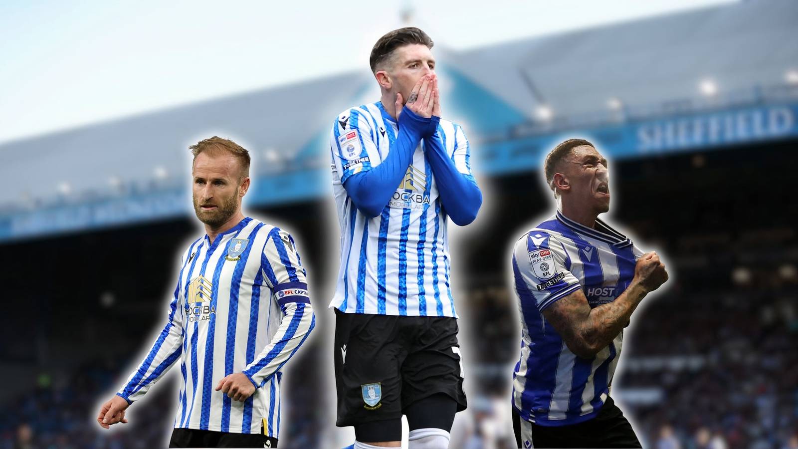 How Barry Bannan and Liam Palmer reacted to Josh Windass leaving ...