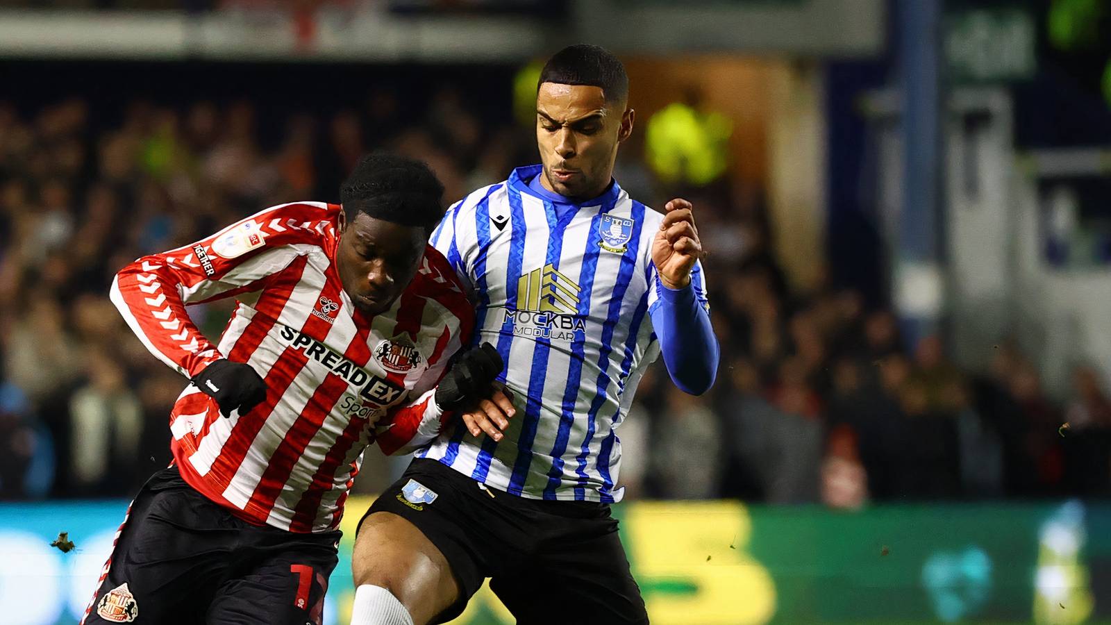 Exclusive: Sheffield Wednesday boosted by "massive plus" with Max Lowe news