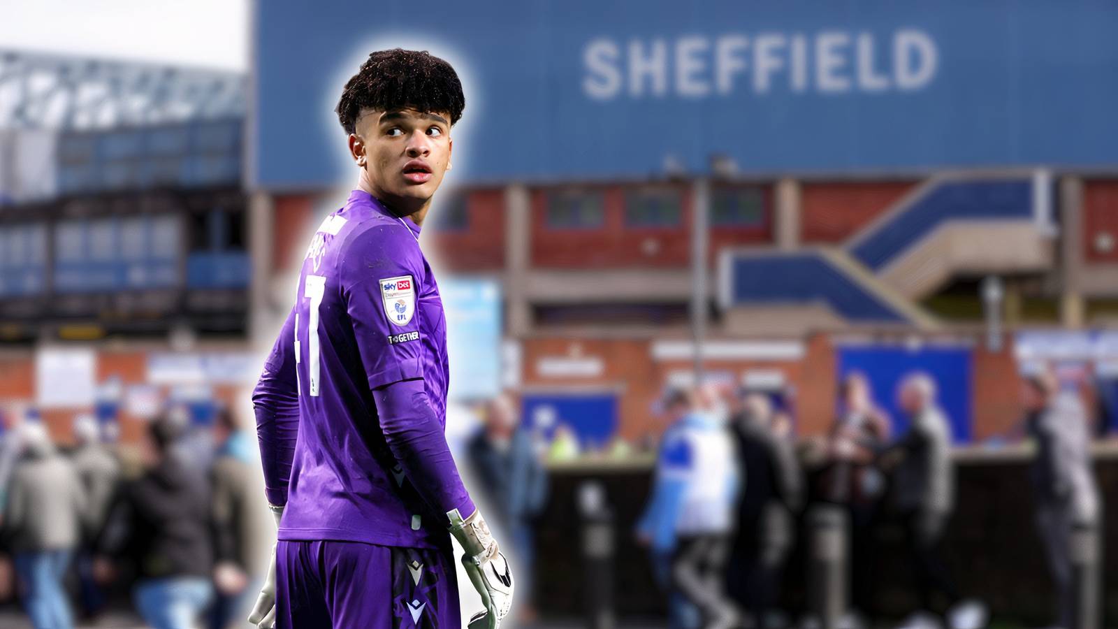 Sheffield Wednesday: Worrying Pierce Charles update emerges