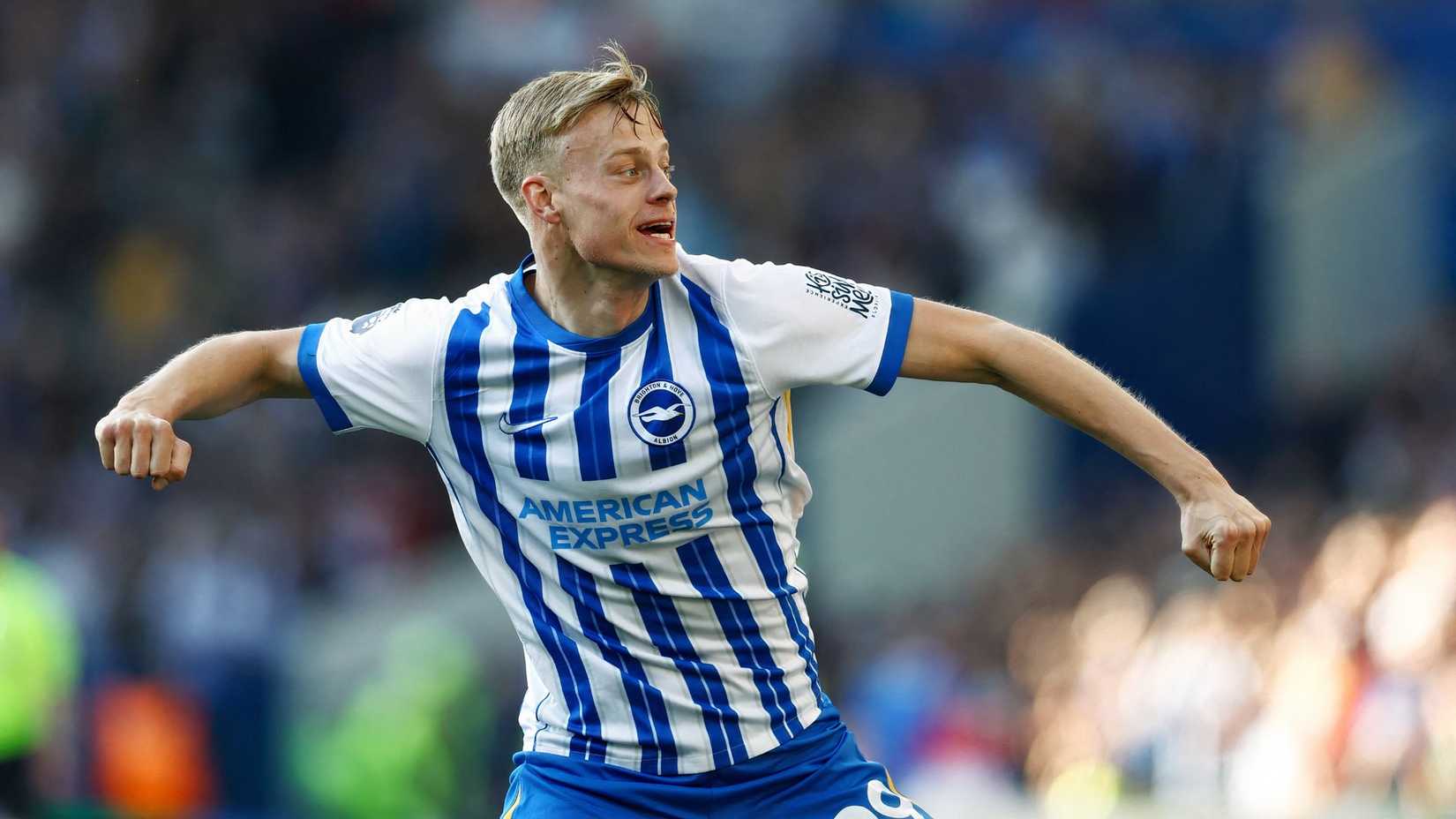 Brighton and Hove Albion owe Blackburn Rovers - they helped polish a ...