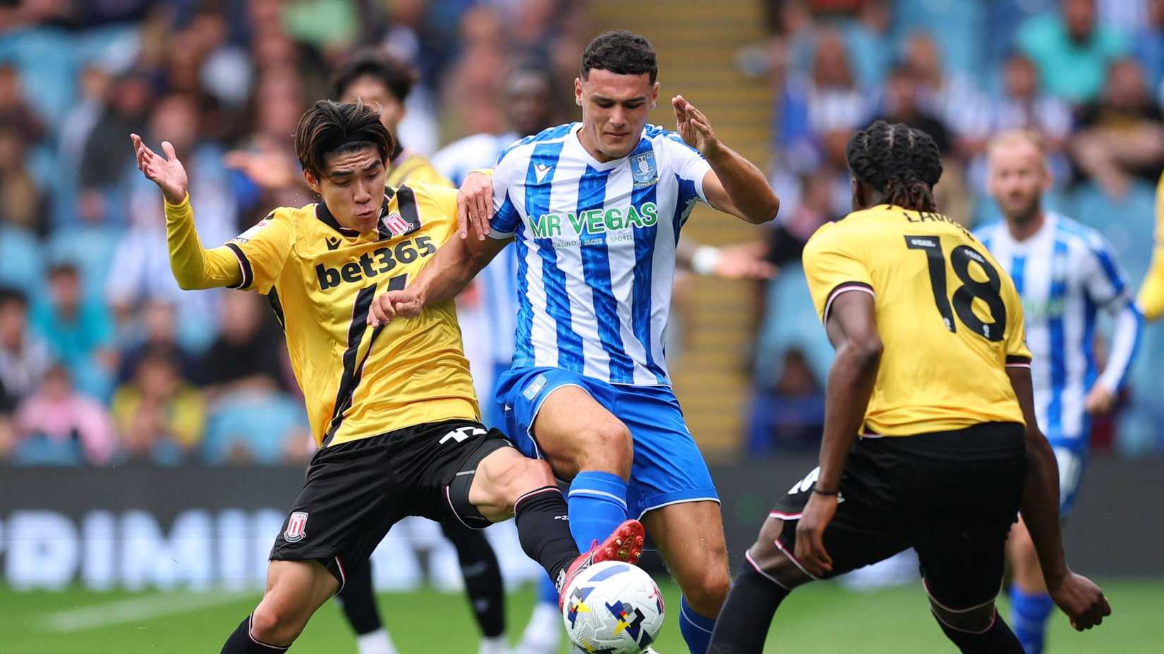 James Bord and the Sheffield Wednesday takeover: Current situation ...