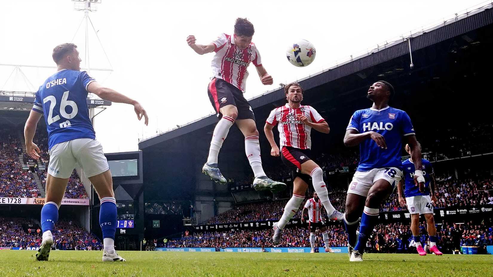 Southampton FC: Jay Robinson worry raised - 'I don't know where he fits in'