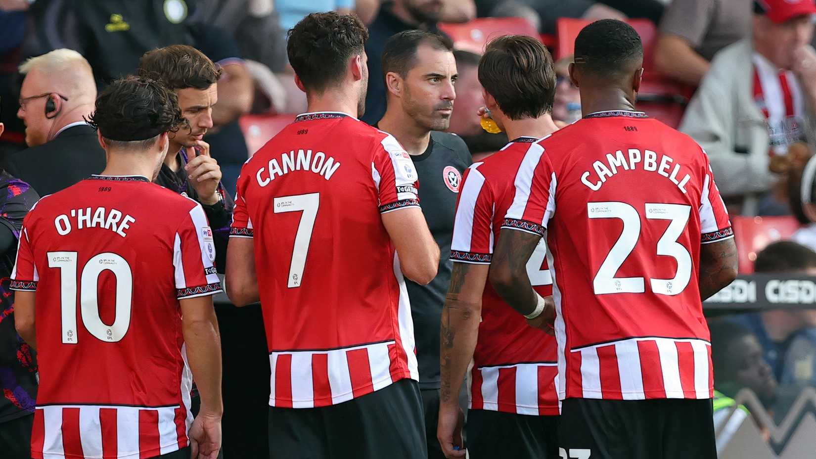 How Ruben Selles is getting on since leaving Sheffield United - it's ...