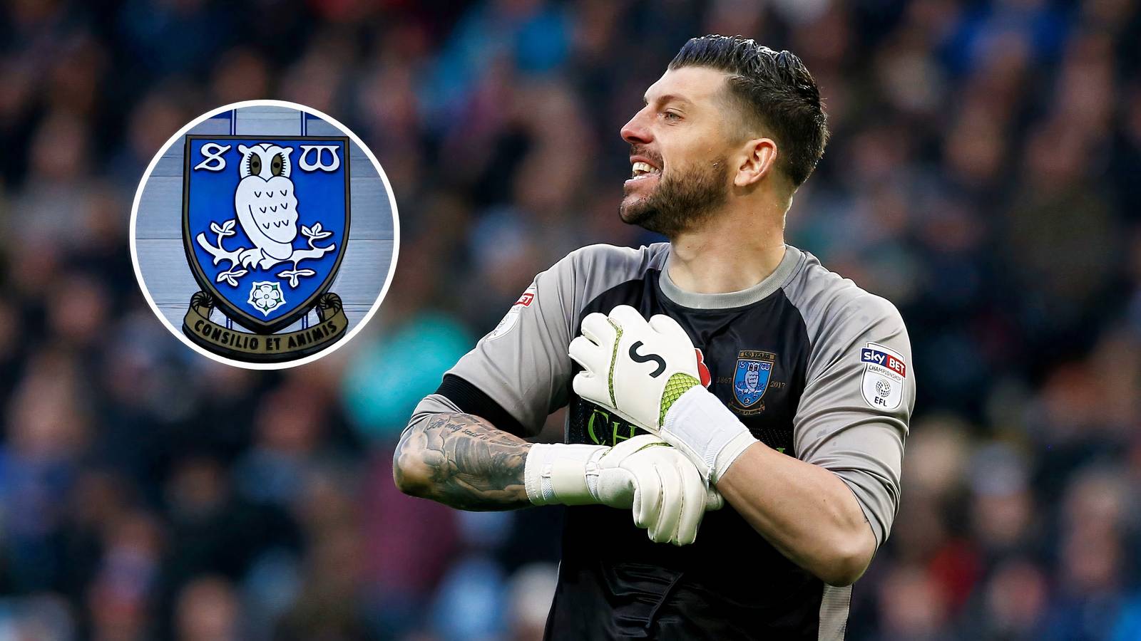 Sheffield Wednesday hit the jackpot with £0 deal for former Sunderland ...