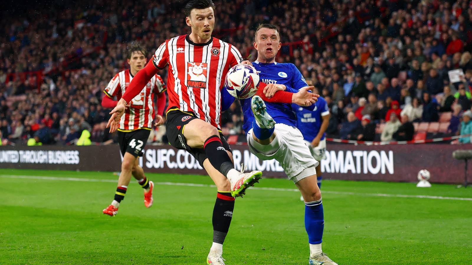 Cardiff City facing David Turnbull transfer regret - Celtic will laugh ...