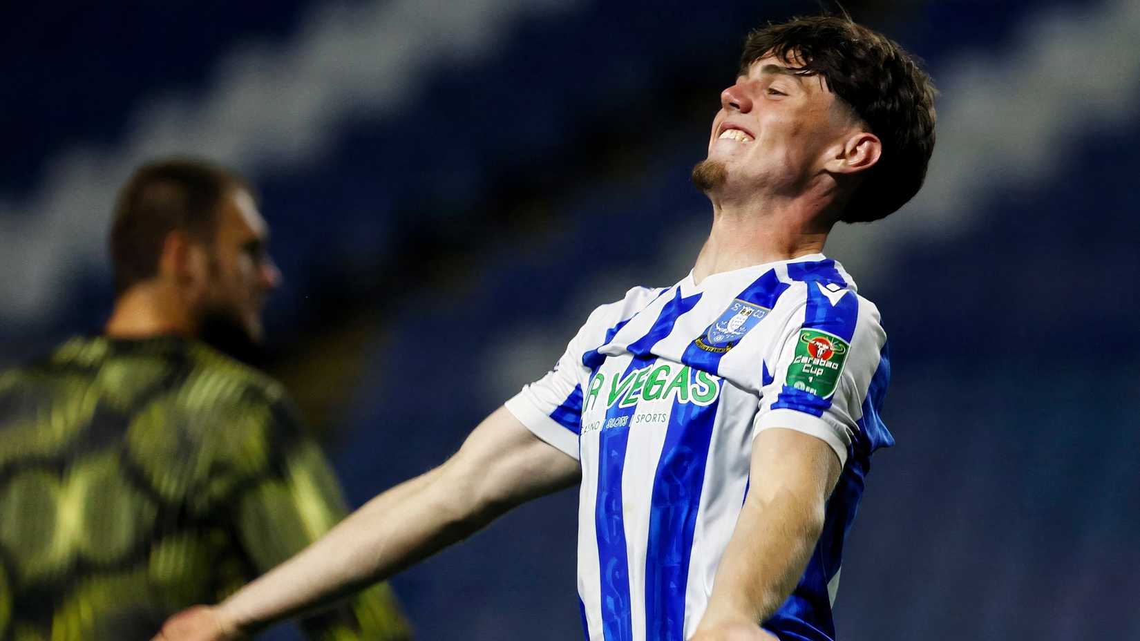 Sheffield Wednesday plan to enhance George Brown development revealed