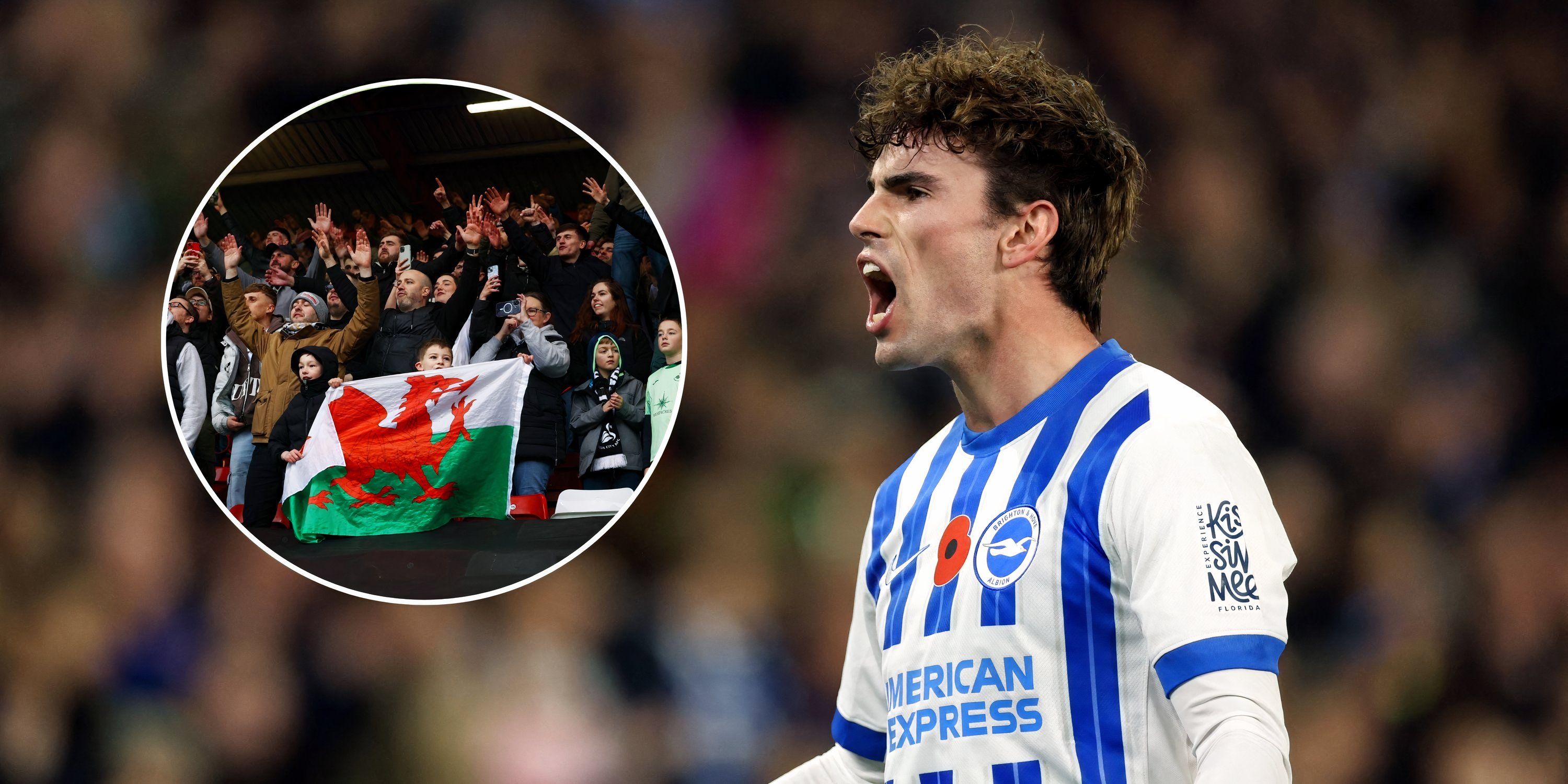 Swansea City must rue £1.5m transfer miss, Celtic were laug ...