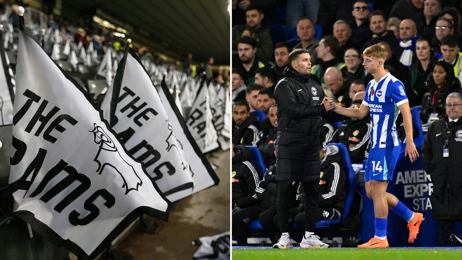 Derby County backed to sign £10m Brighton ace - 'he could be the ...
