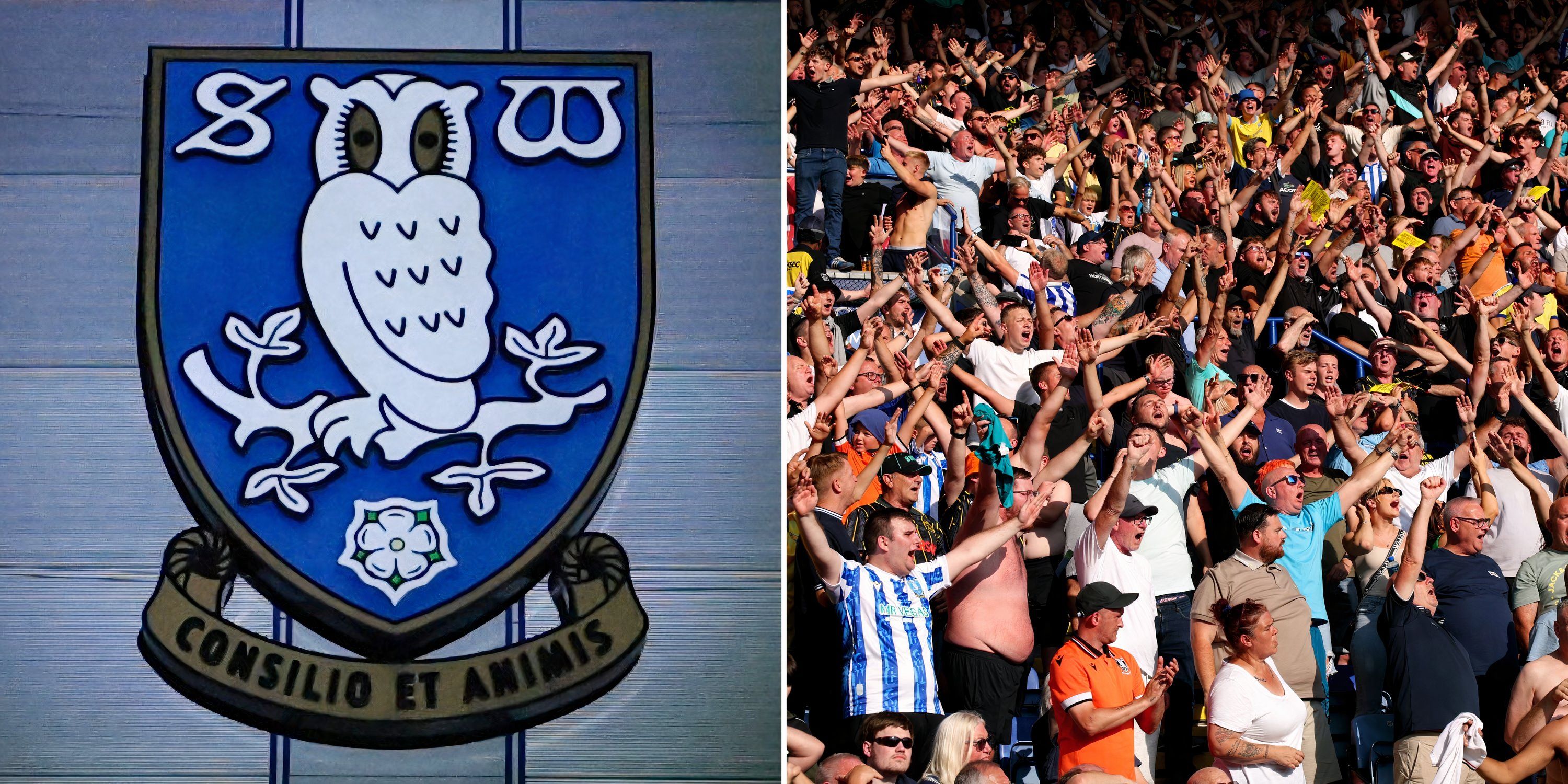 AFTV Star Ty Involved in Ugly Clash With Steward After Sunderland 2-2 ...