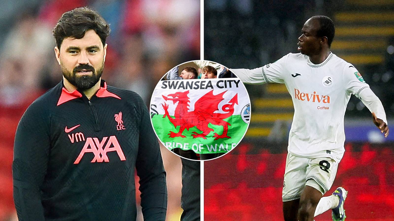 Big Swansea City, Vitor Matos update will delight £6m Brighton and Hove ...