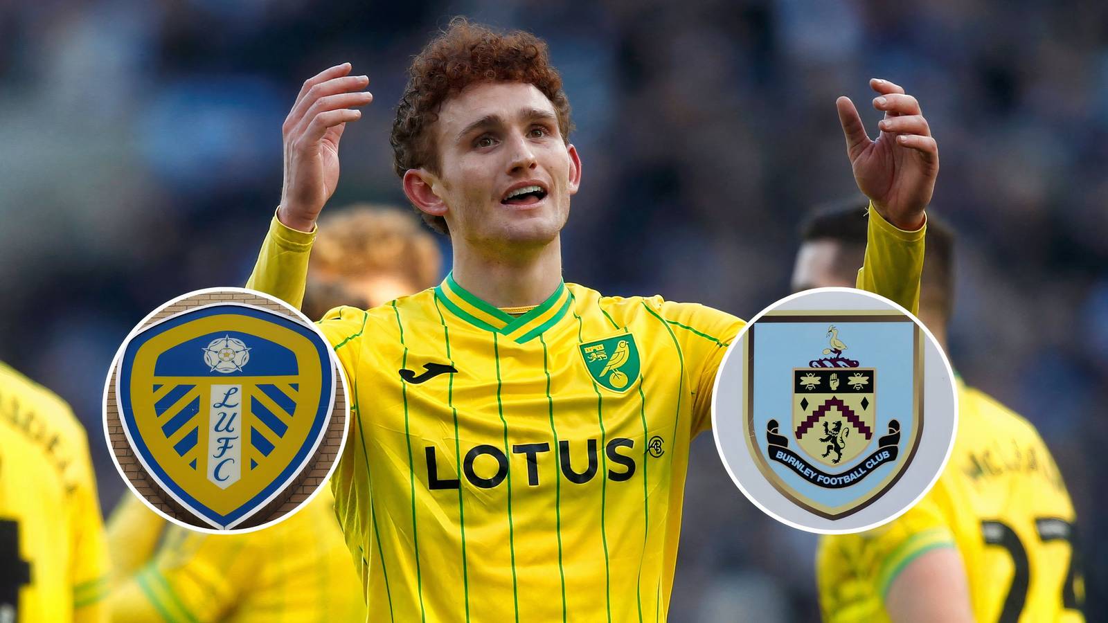 Exclusive: What Lee Hendrie thinks Norwich City's Josh Sargent will do ...