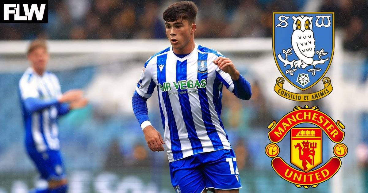 Big Sheffield Wednesday concern emerges - Man Utd weighing up potential ...