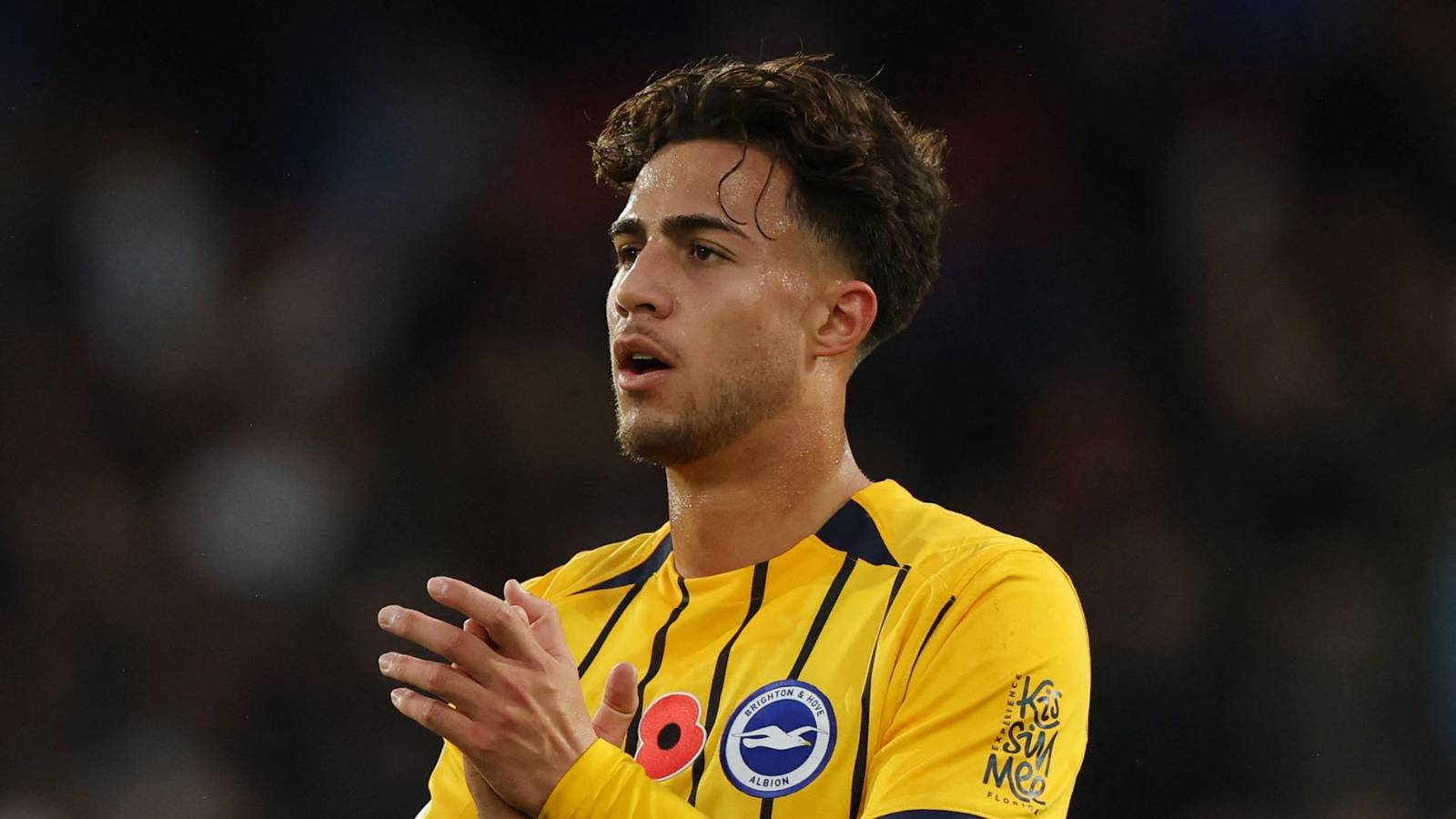 Brighton forward & out of favour midfielder can give Ipswich Town a ...
