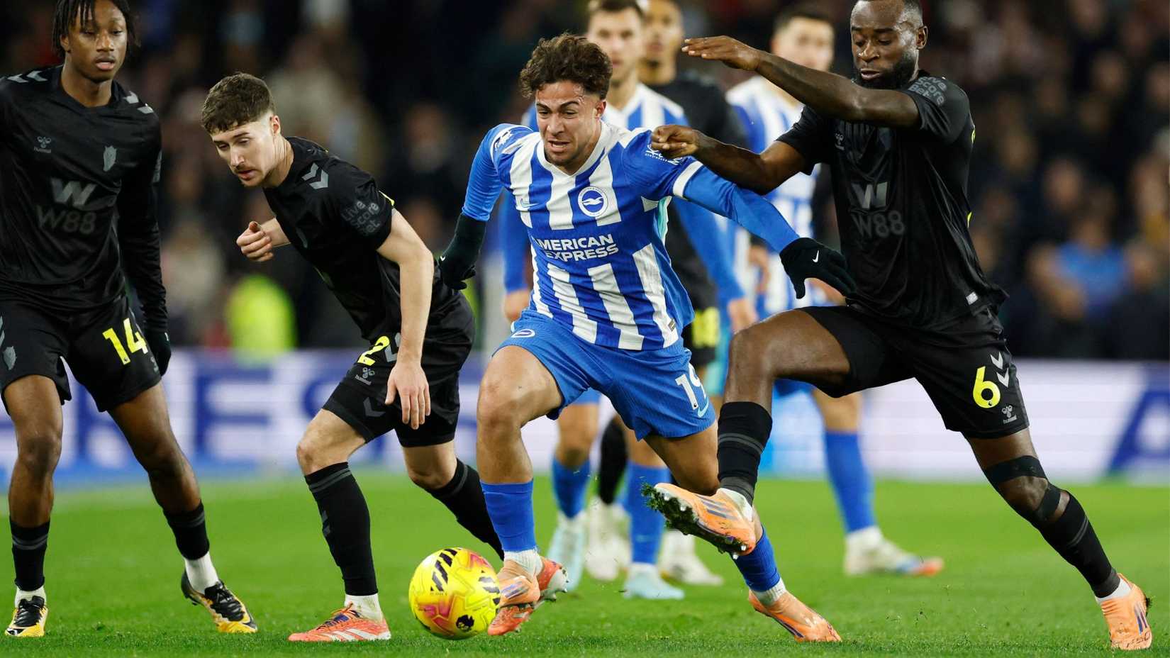 Brighton forward & out of favour midfielder can give Ipswich Town a ...