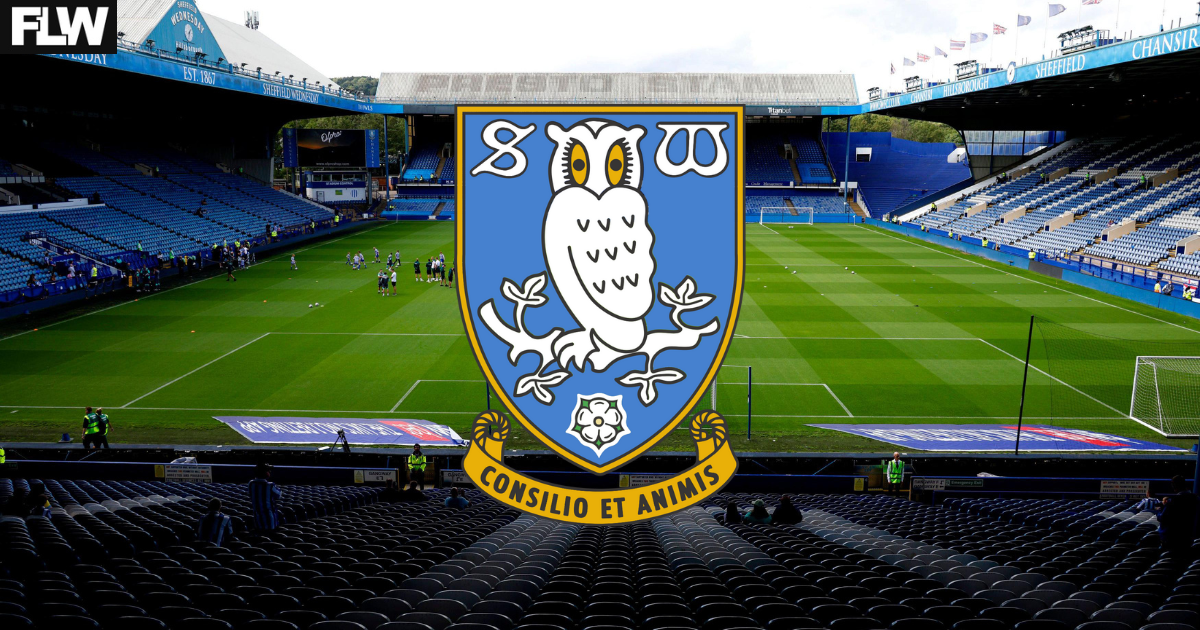 Sheffield Wednesday takeover update involving the Storch Family emerges