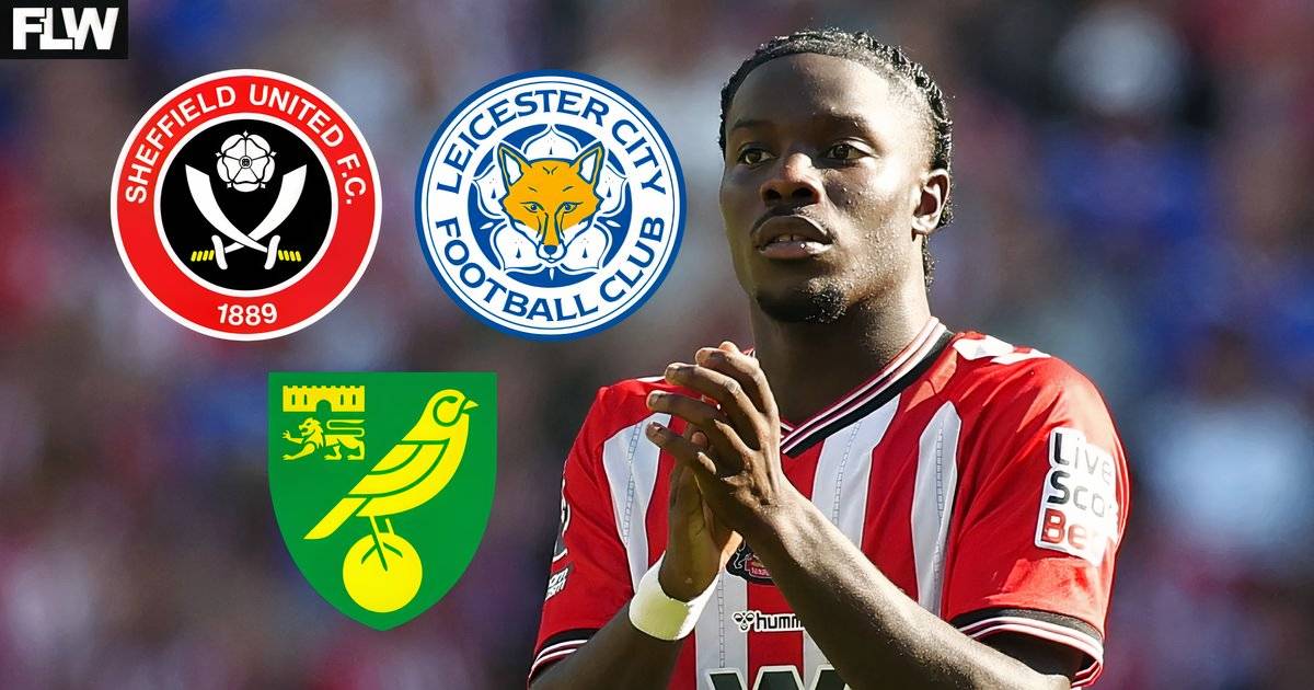 Leicester City, Norwich City or Sheffield United should swoop for ...