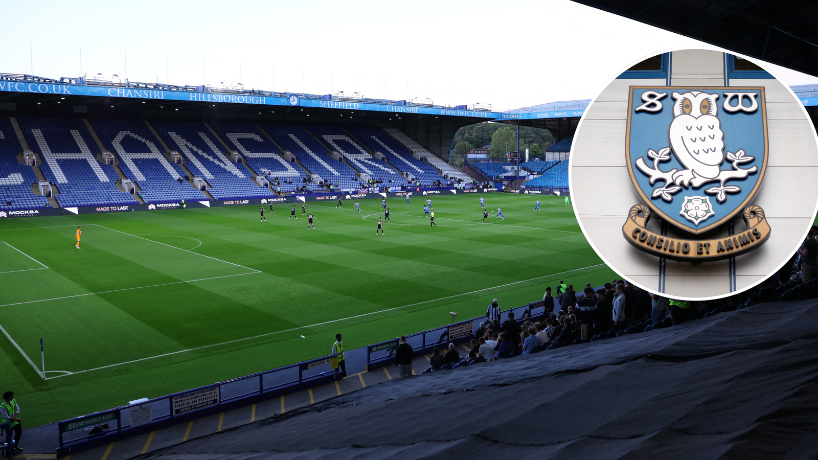 New update dropped on when Sheffield Wednesday could name a preferred ...