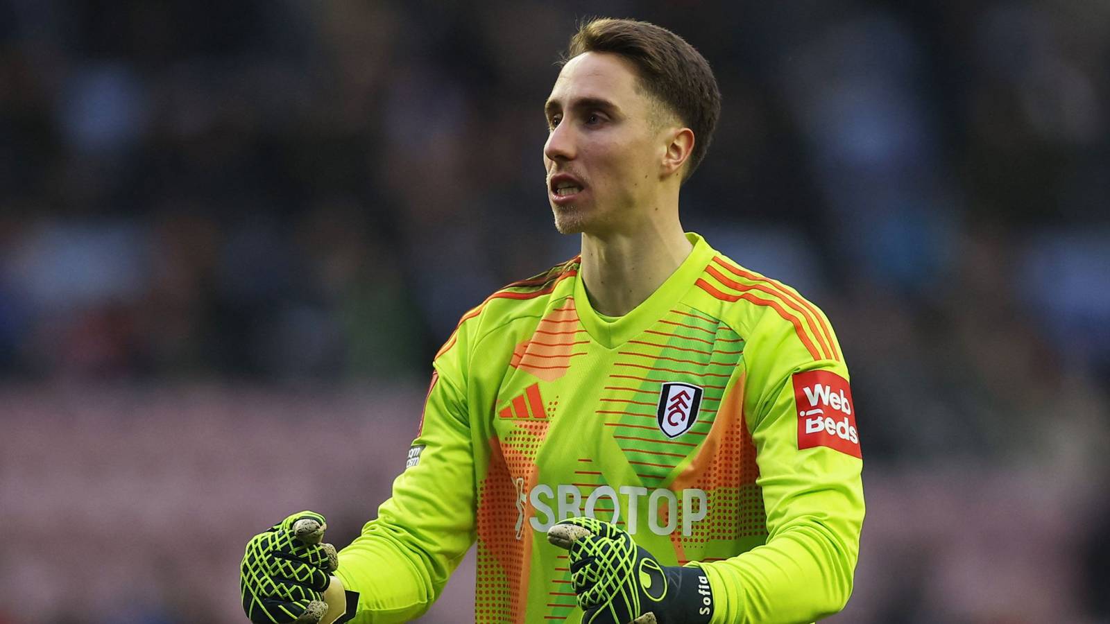 Scathing Millwall verdict issued on Fulham loanee Steven Benda - Alex ...