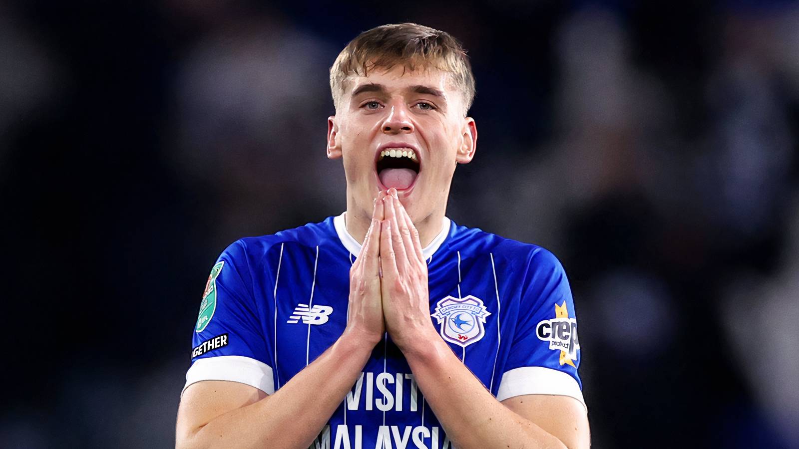 Bayern Munich eyeing up surprise Cardiff City transfer raid for Dylan ...