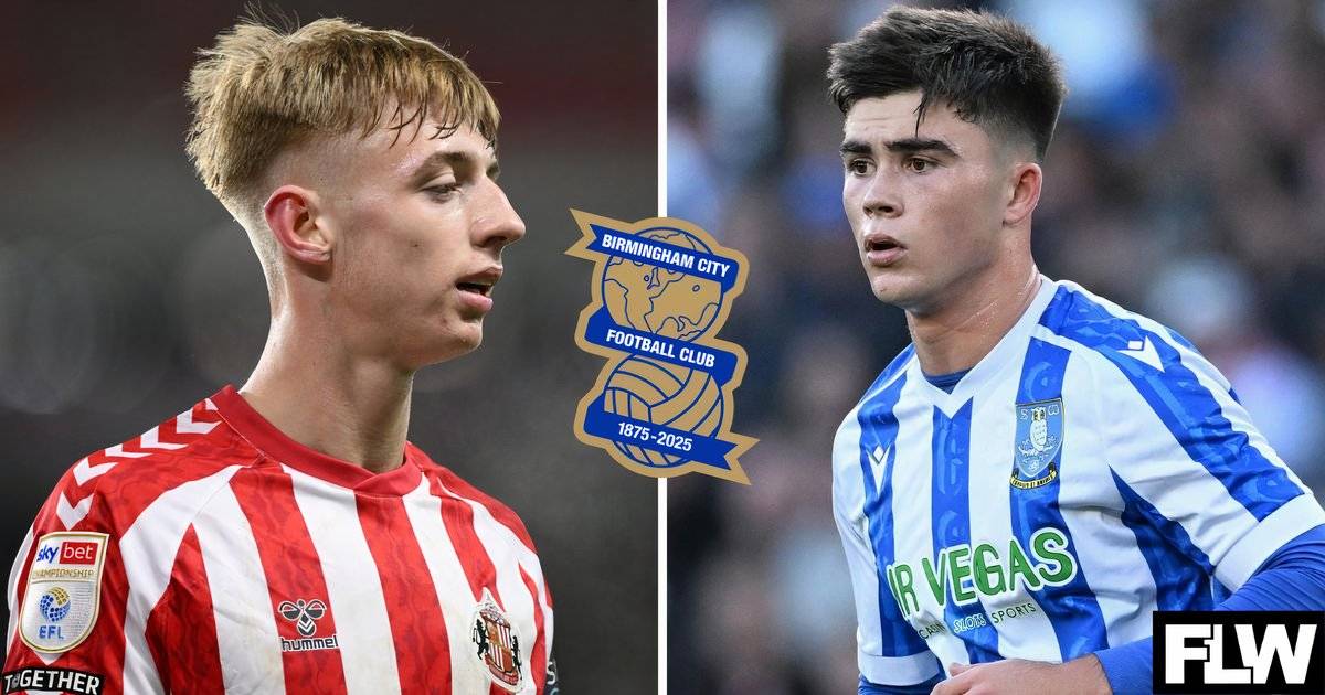 Why Birmingham City should try sign Man Utd's Harry Amass & £10m man in the first week of January