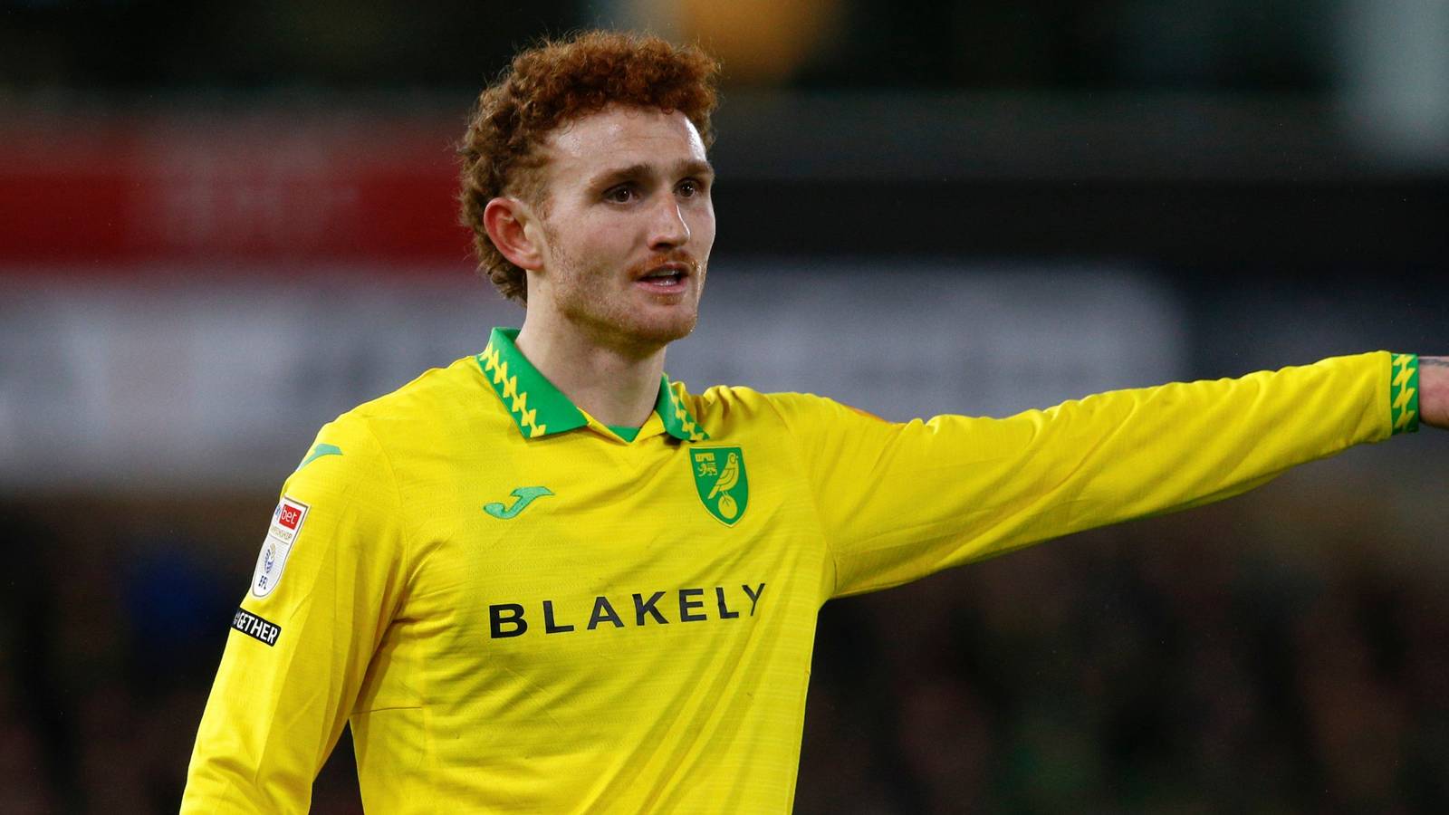 Fresh Josh Sargent transfer twist emerges as Toronto push for Norwich ...