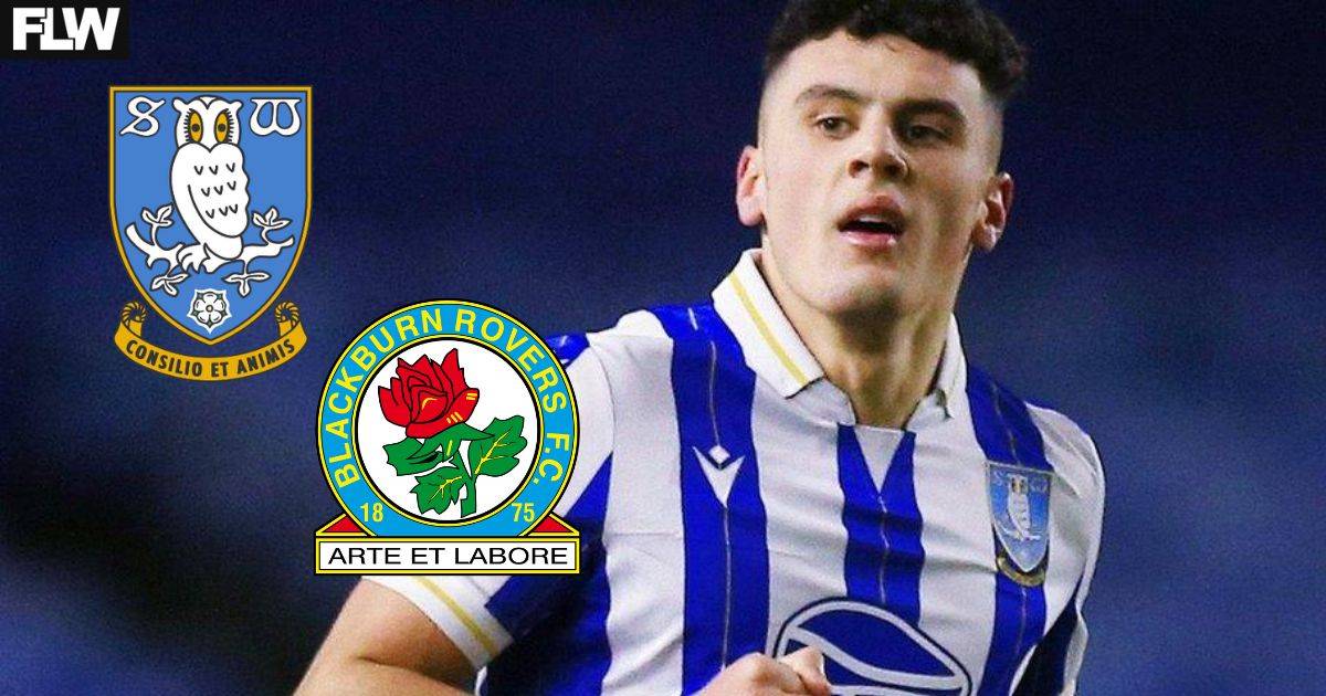 Blackburn Rovers urged against signing Sheffield Wednesday's Bailey ...