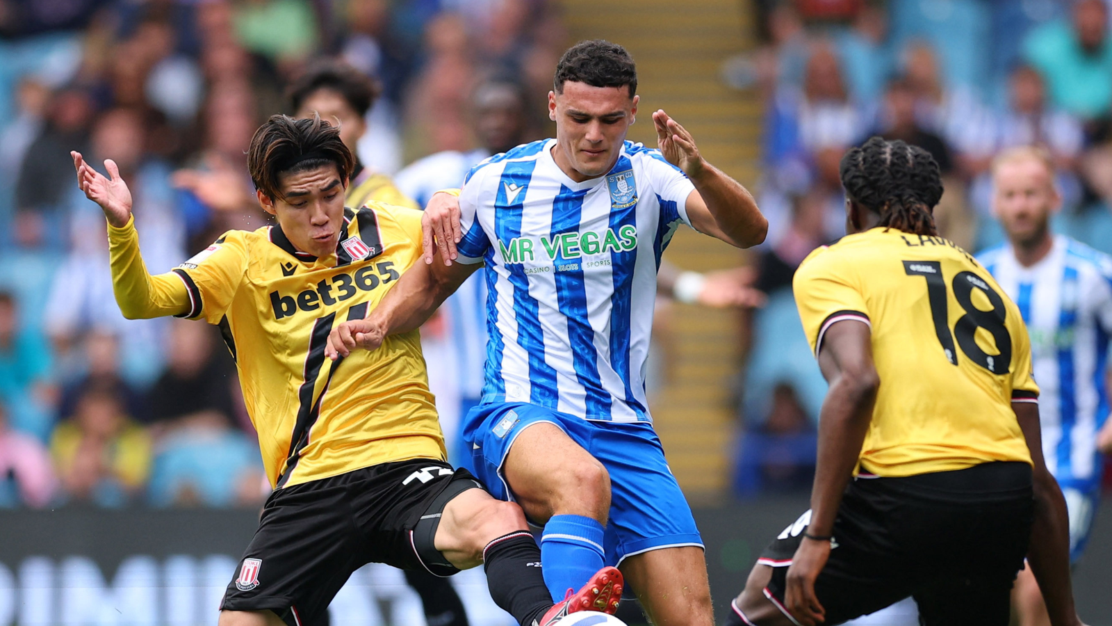 Blackburn Rovers urged against signing Sheffield Wednesday's Bailey ...