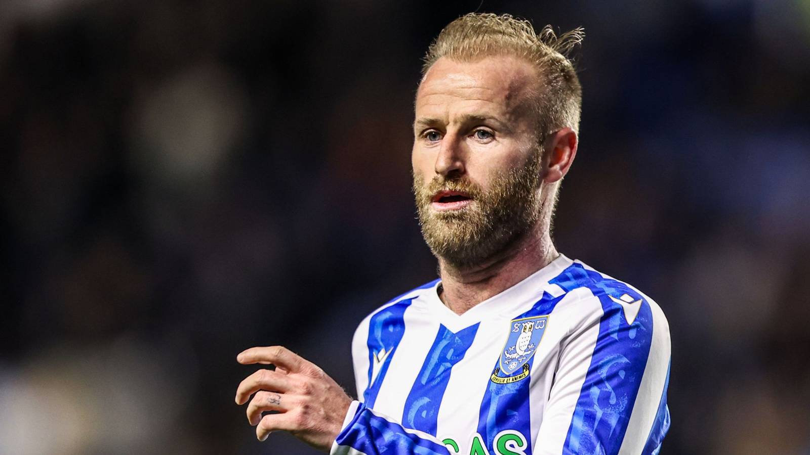 What Barry Bannan did when he came off for Sheffield Wednesday v ...