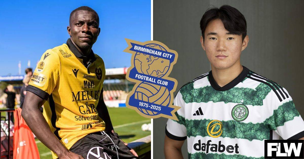 3 Abdoulie Manneh alternatives Birmingham City should try sign ASAP ...