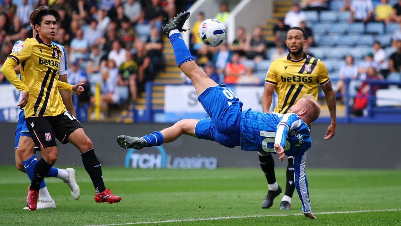 Barry Bannan heading for Sheffield Wednesday exit? Millwall push to ...