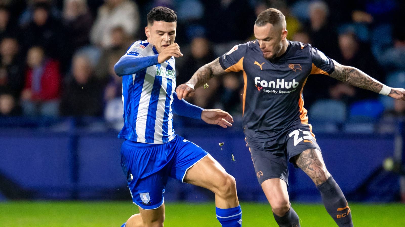 Sheffield Wednesday transfer truth emerges involving Hibernian bid for ...