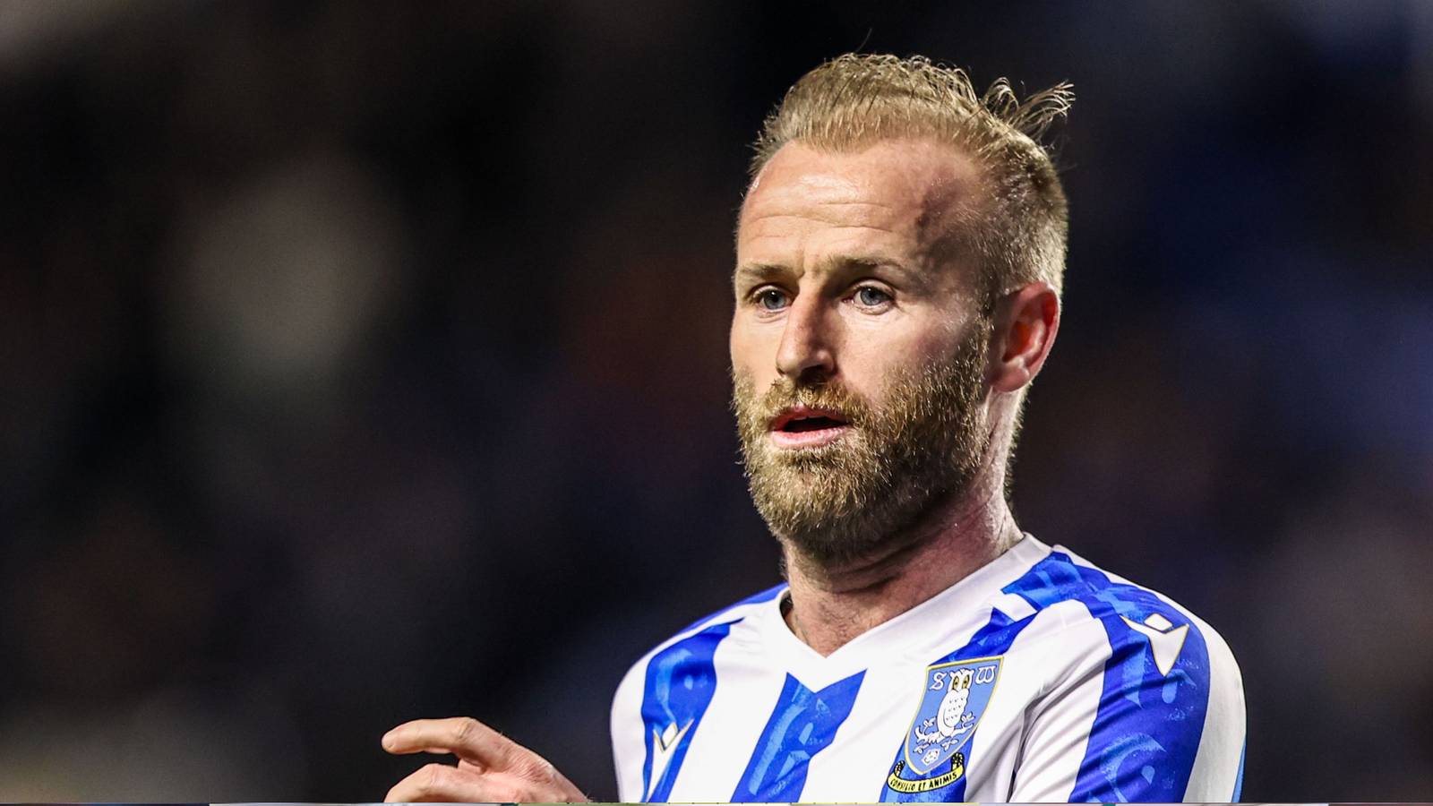 Barry Bannan 'return' claim made by Sheffield Wednesday as Millwall ...
