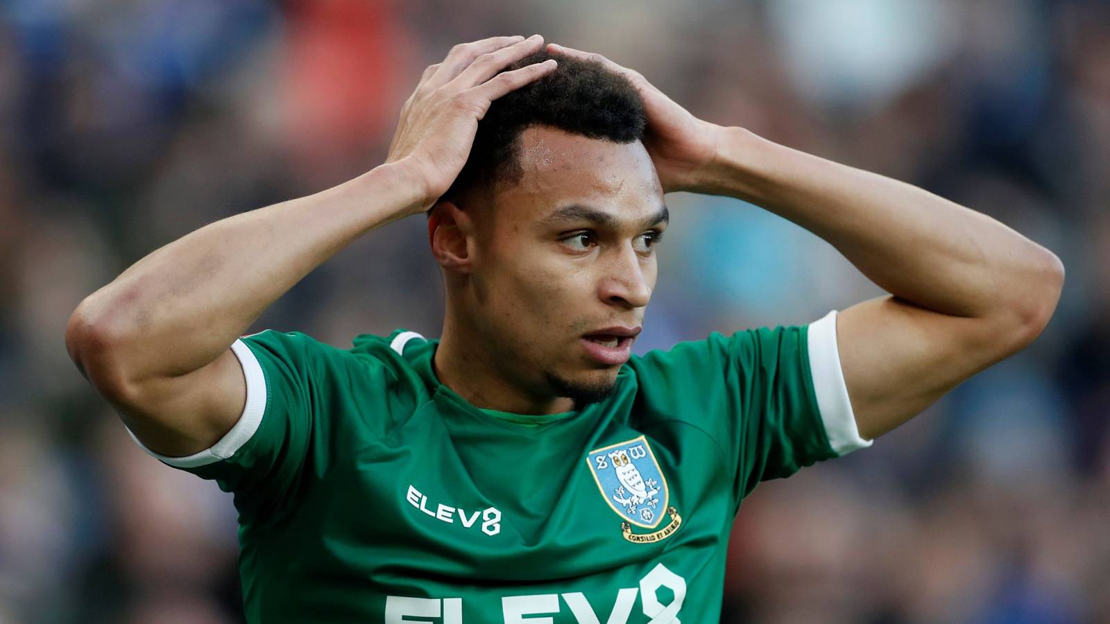 Sheffield Wednesday hit the jackpot after Newcastle United's Jacob ...