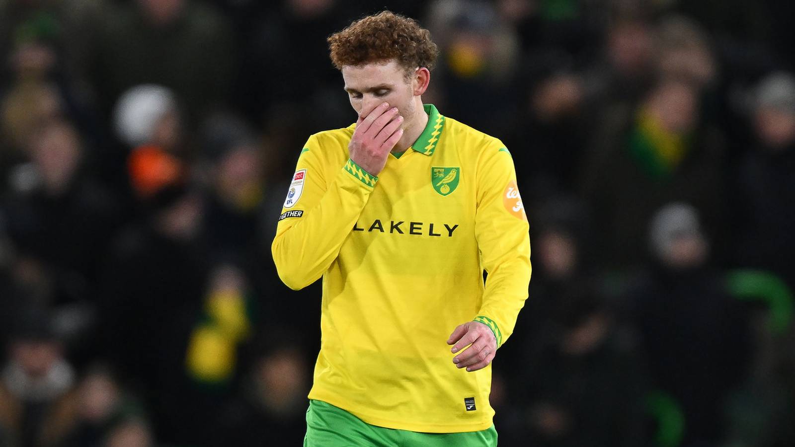 Norwich City, Josh Sargent transfer theory offered amid huge Philippe ...